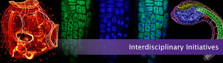 Division of Biology | Kansas State University