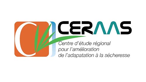 Feed the Future Innovation Lab for Climate Resilient Cereals