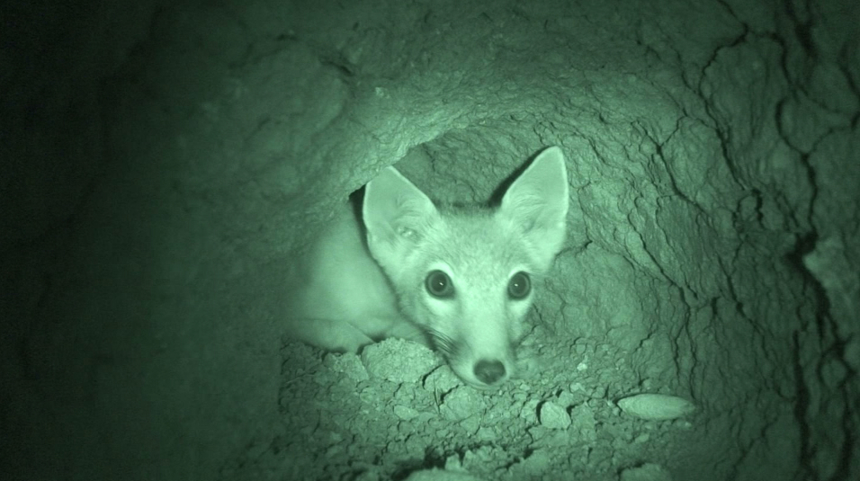 Jan. 3, 2012 | News Releases | News and Communications Services ...