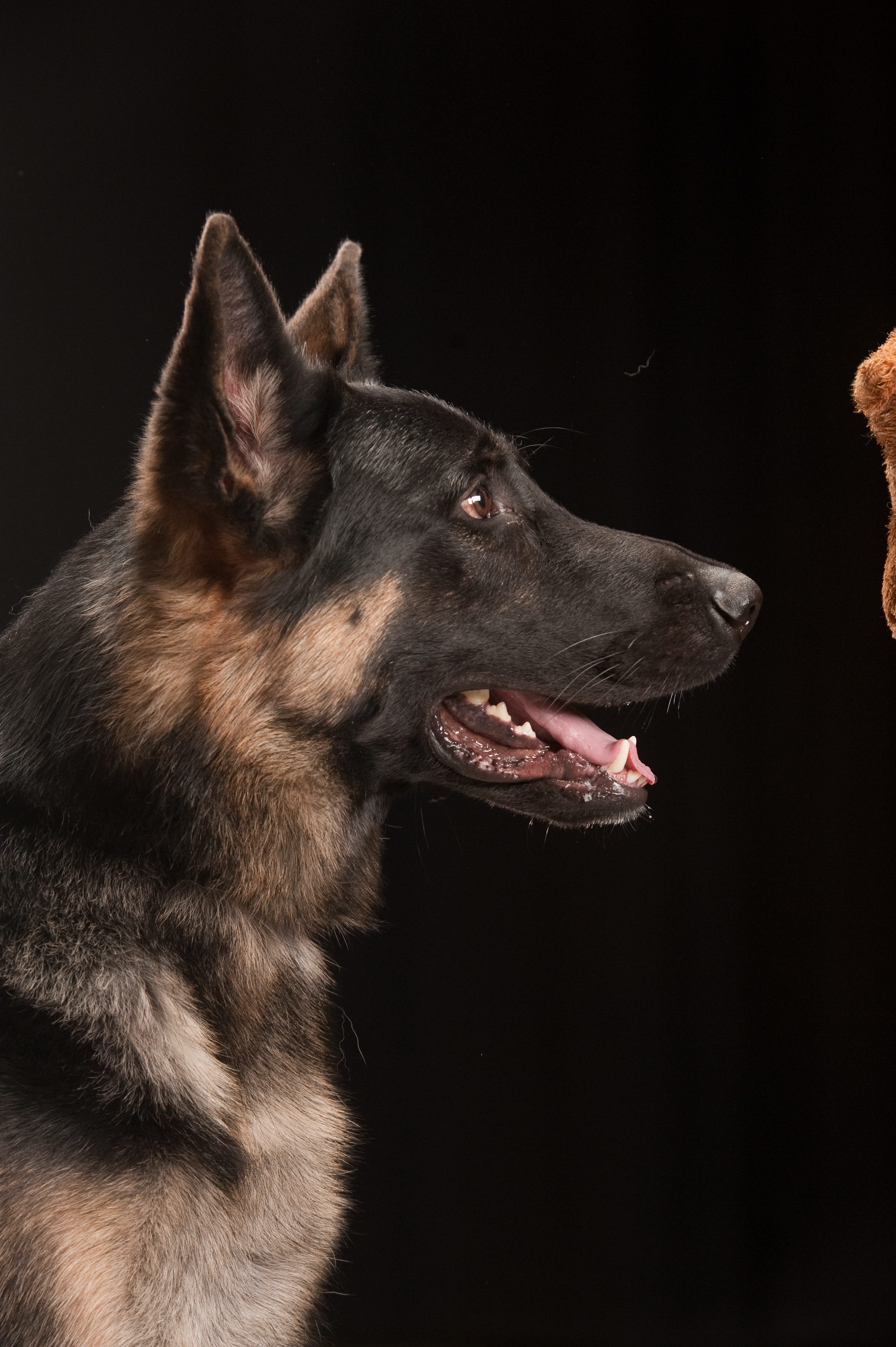 Nov. 29, 2011 | News Releases | News and Communications Services ...