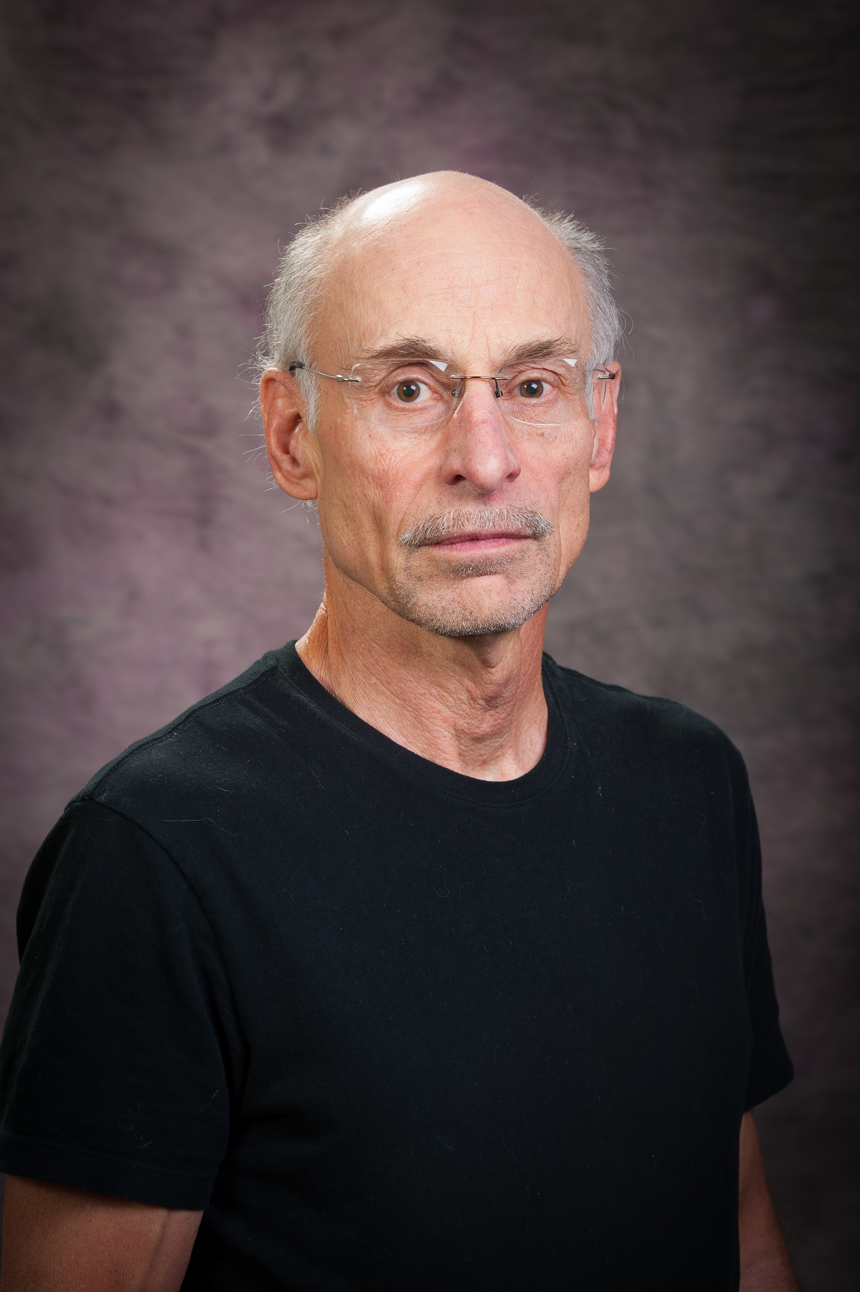 Two Kansas State University researchers named AAAS fellows | Kansas ...