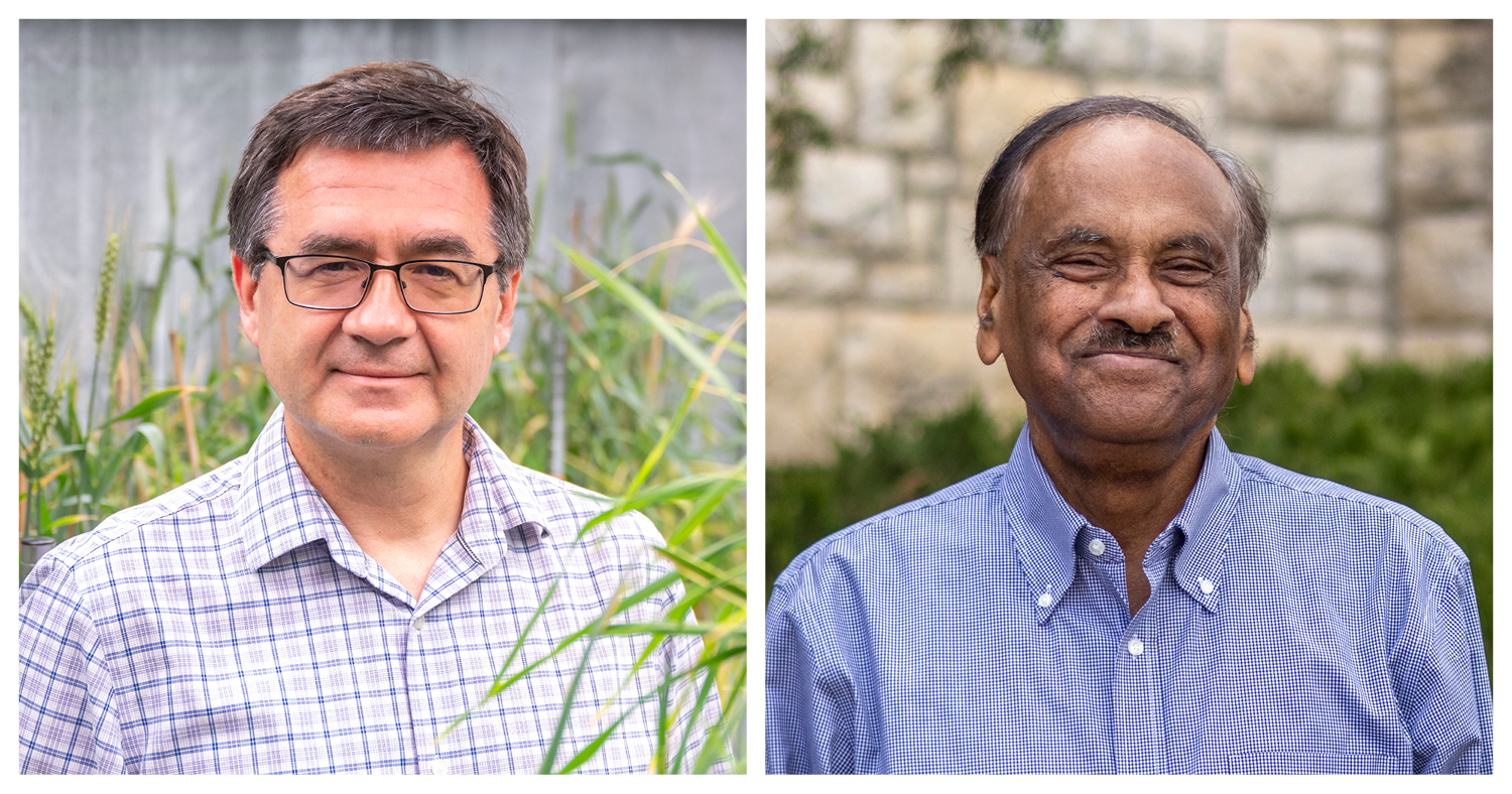 Bimal Paul, Eduard Akhunov selected as 2024 AAAS Fellows