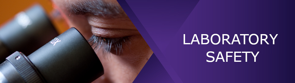 Environmental Health and Safety