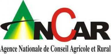 Collaborating Organizations