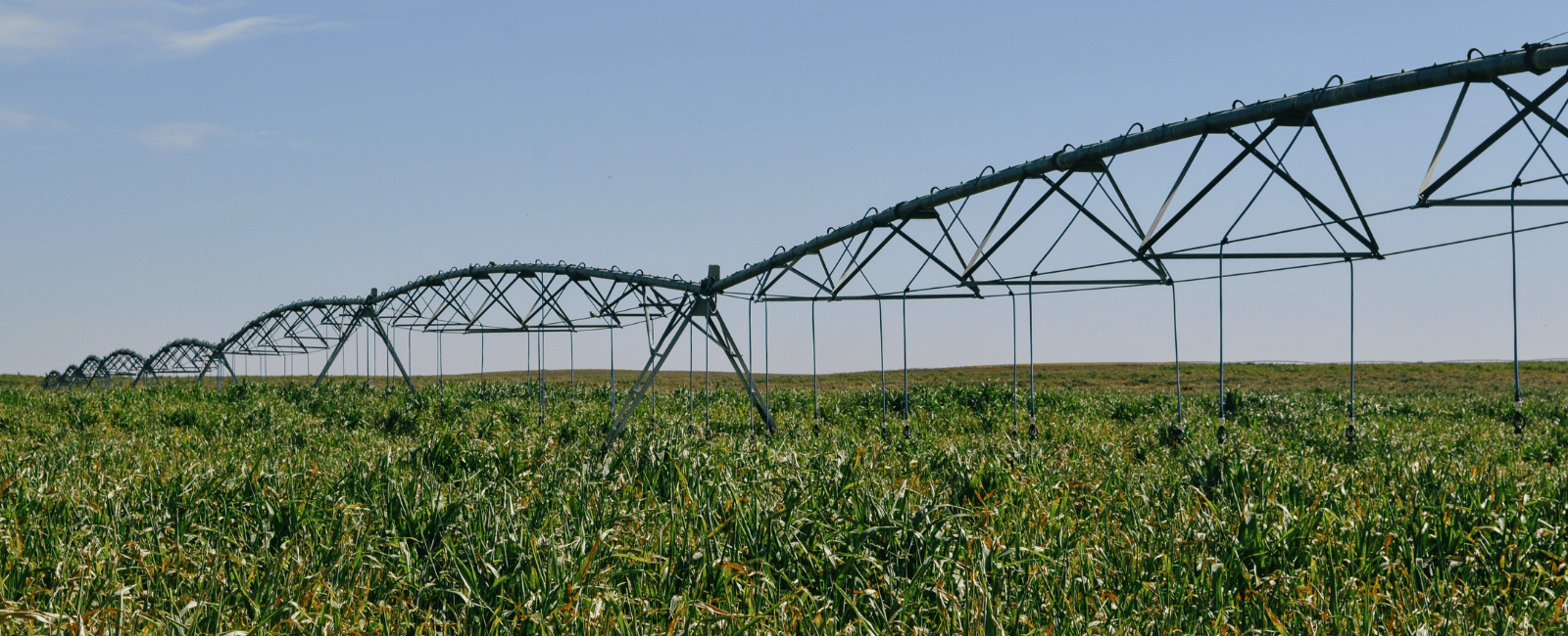 Testing Ag Performance Solutions